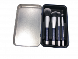 Magnetic Brush Set